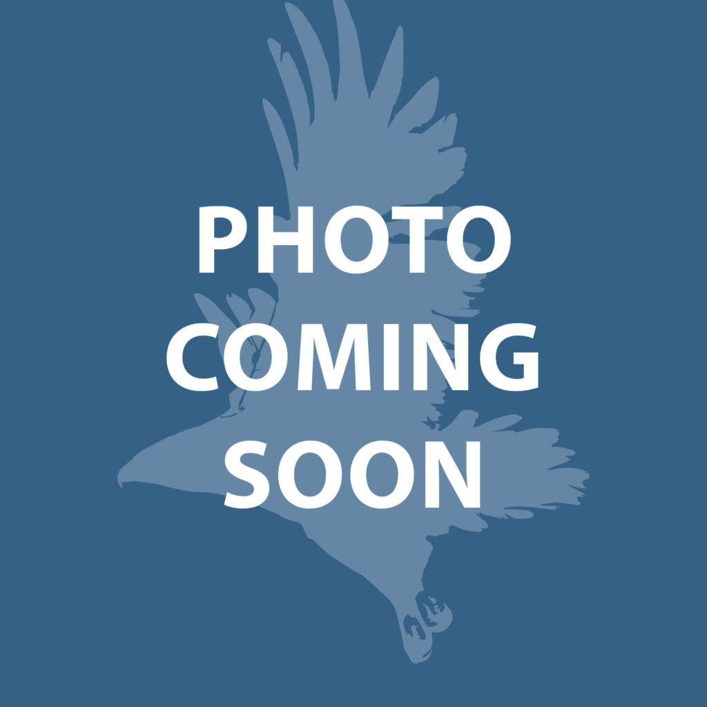 Wanda Wagner - Saint Augustine's University